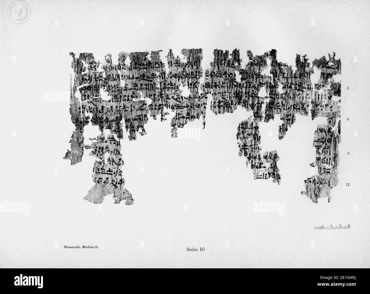 London medical papyrus hi-res stock photography and images - Alamy