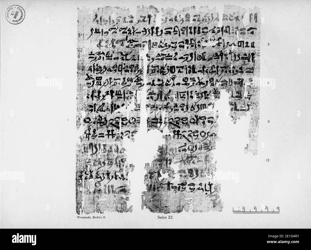 London medical papyrus hi-res stock photography and images - Alamy