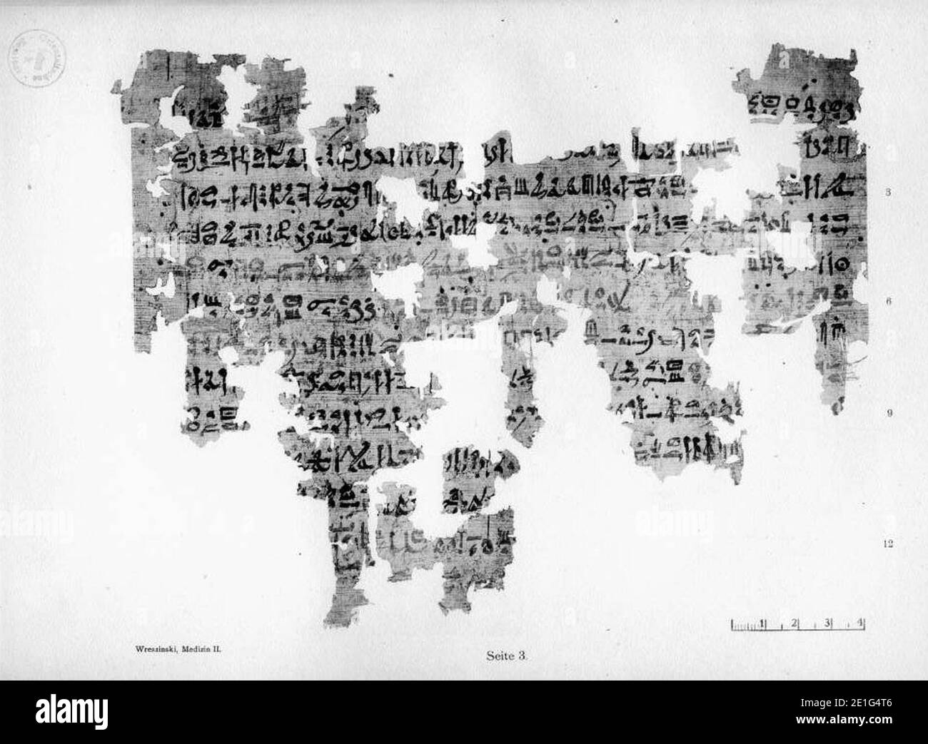 Medical papyrus Black and White Stock Photos & Images - Alamy