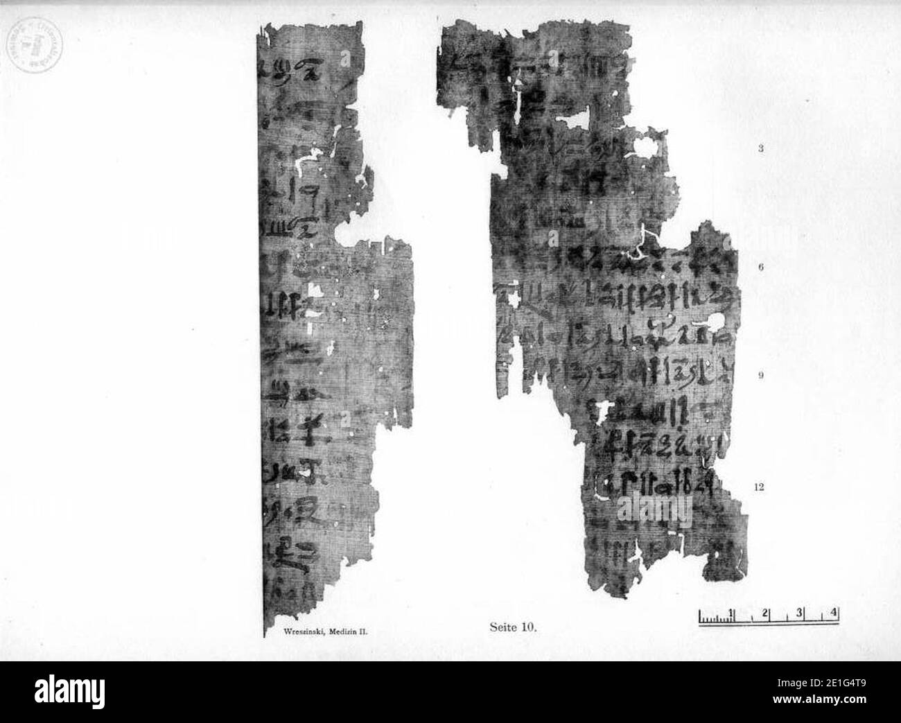 London medical papyrus hi-res stock photography and images - Alamy