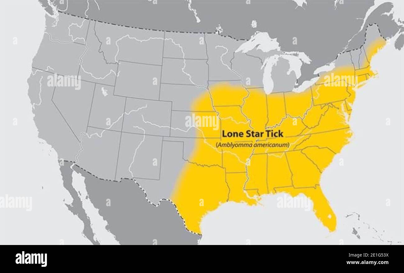 Lone map hi-res stock photography and images - Alamy