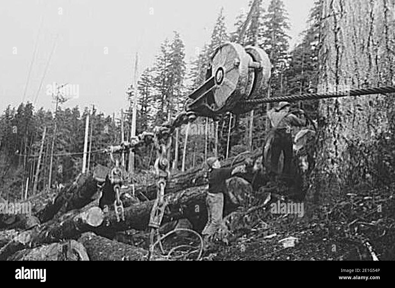 Long Bell Lumber Co 12 Stock Photo - Alamy