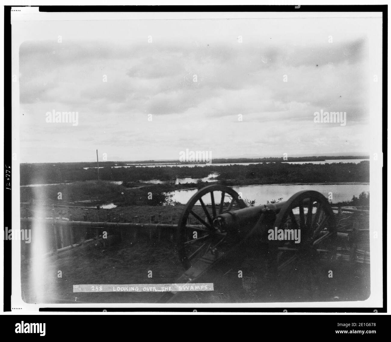 Swamps Cut Out Stock Images & Pictures - Alamy