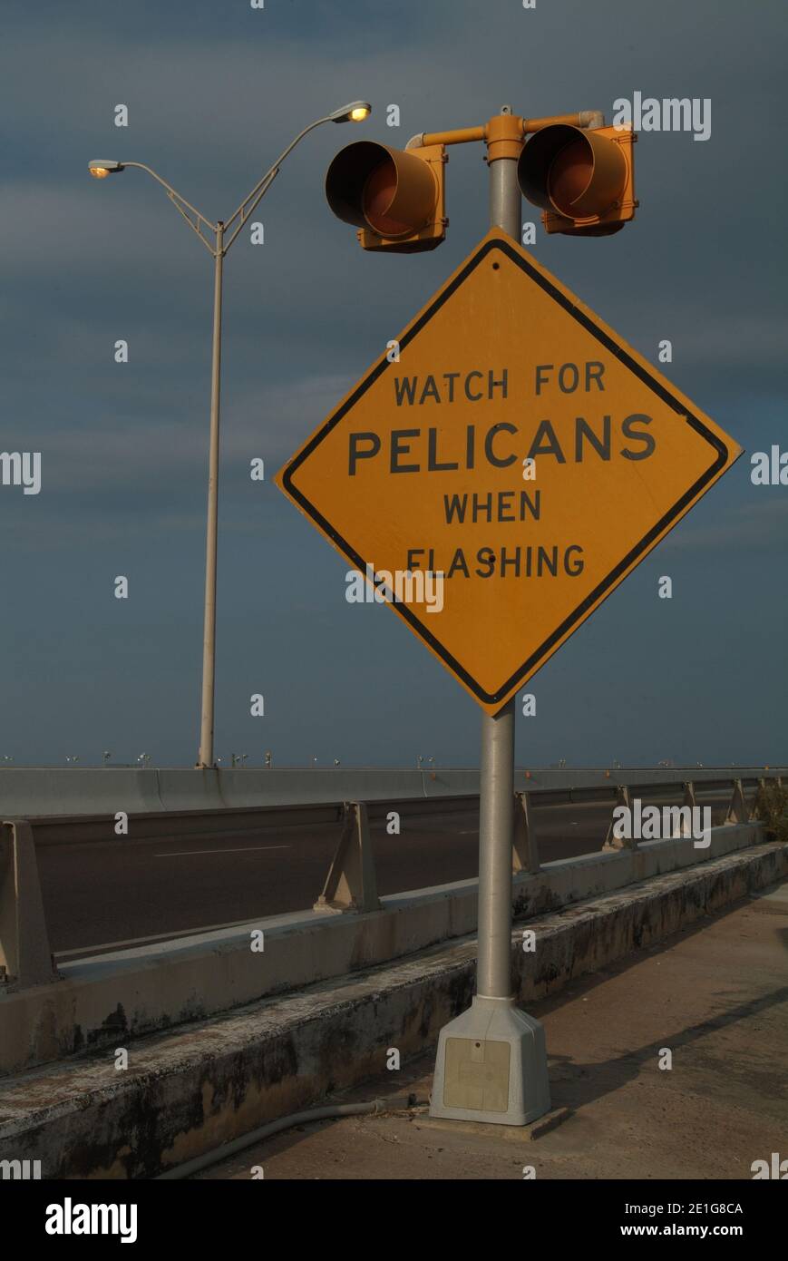 Pelican sign, Port Isabel, Texas, USA | NONE | Stock Photo - Alamy