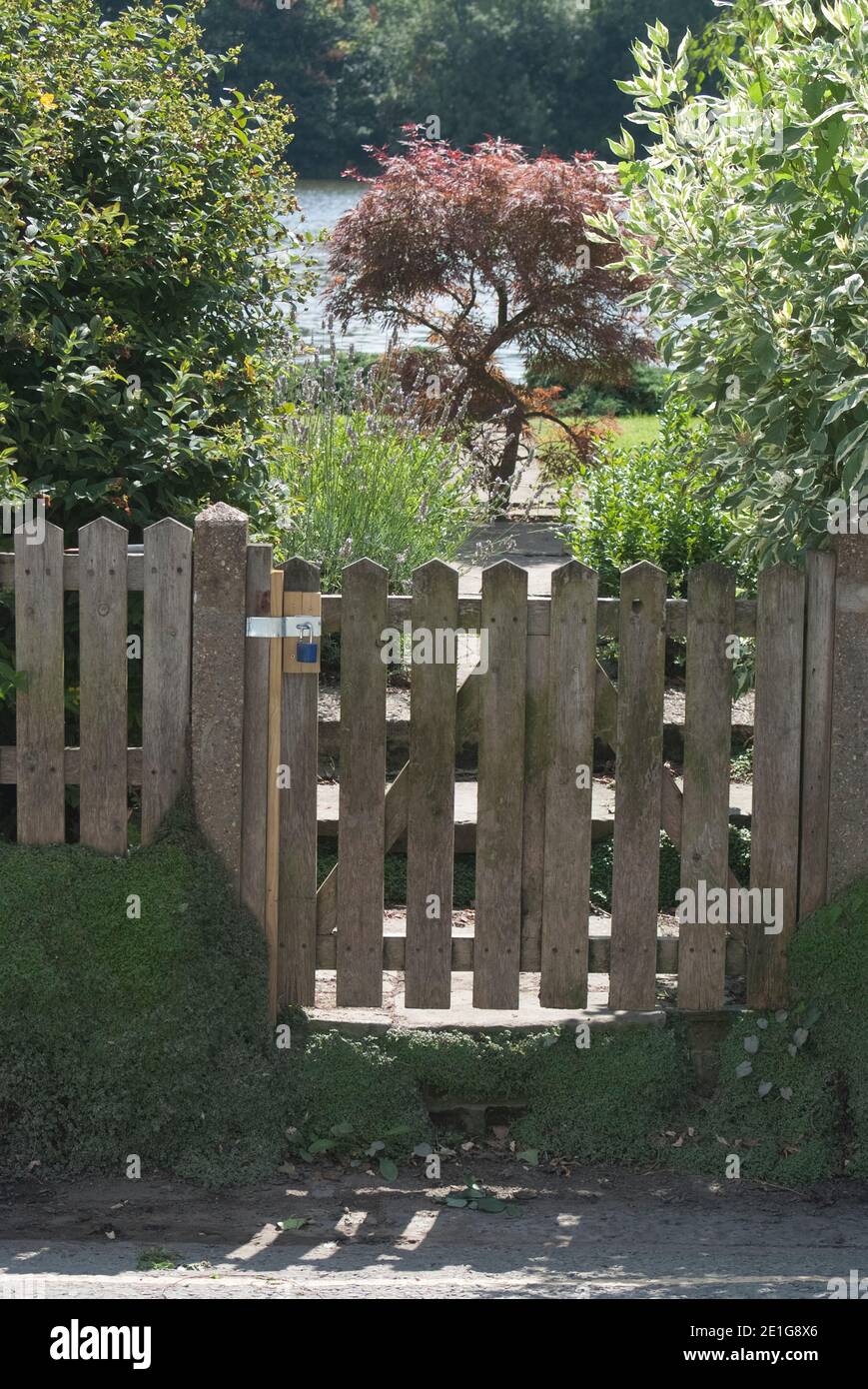 Gate into a small riverside garden, shrubs and trees in summer Stock ...