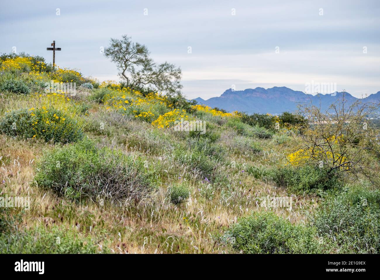 Mountains in apache junction hi-res stock photography and images - Alamy