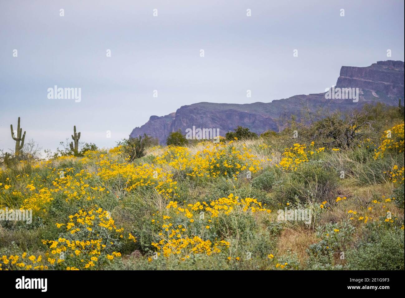 Apache peak hi-res stock photography and images - Alamy