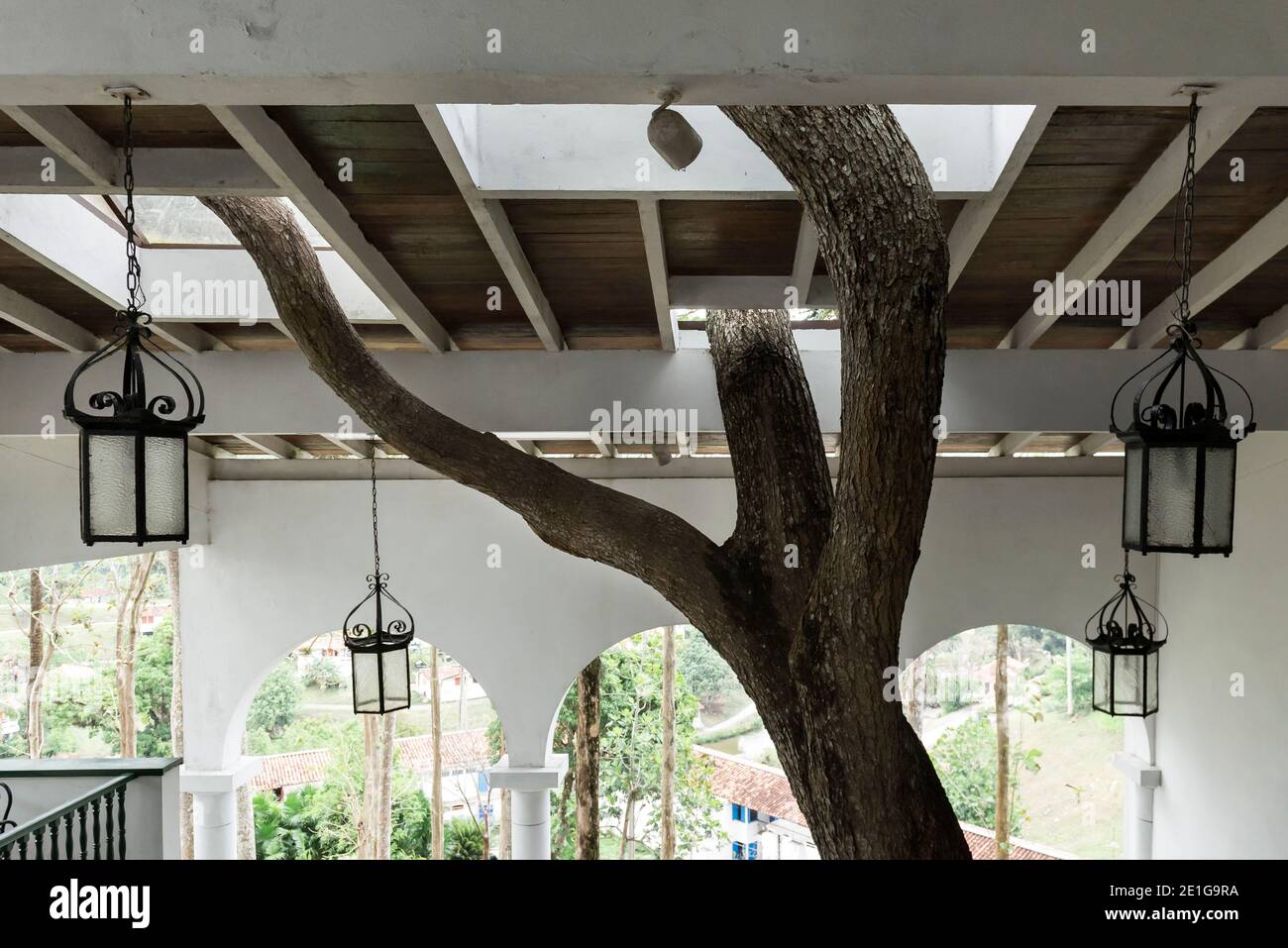 Moka Hotel built respecting the surrounding nature without cutting a ...