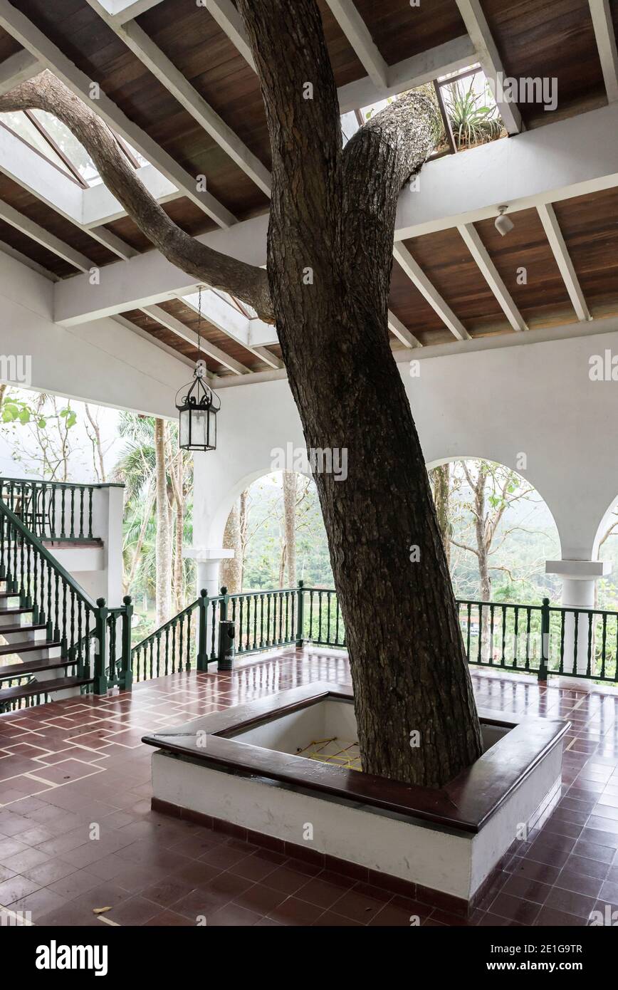 Moka Hotel built respecting the surrounding nature without cutting a ...