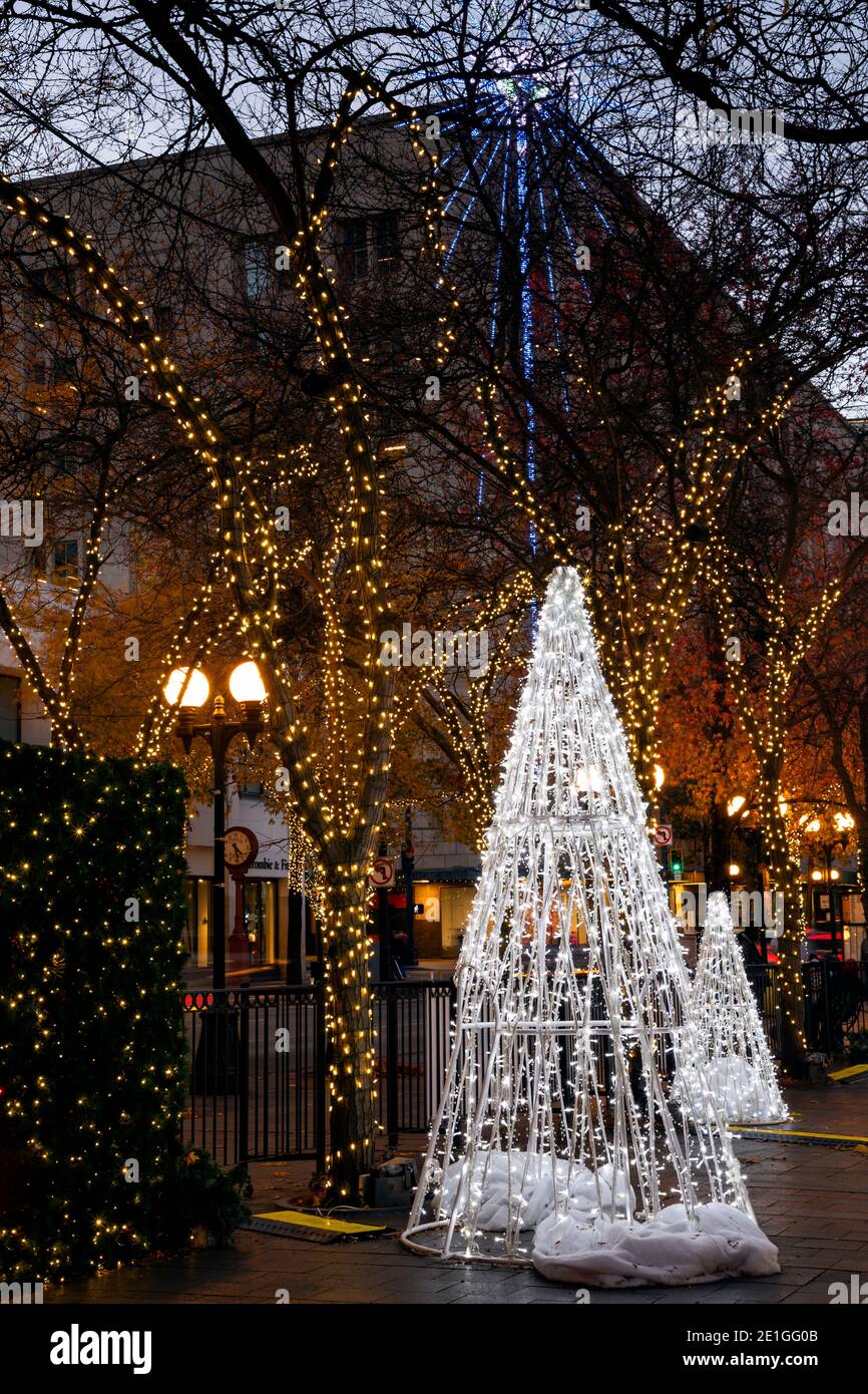 The shape of trees hi-res stock photography and images - Alamy