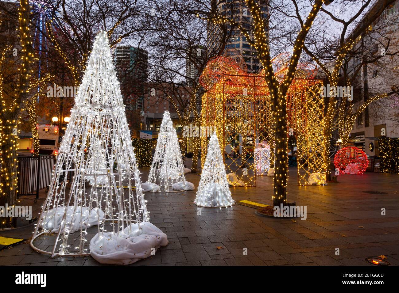 WA19019-00...WASHINGTON - Winter lights display a Westlake Park in ...
