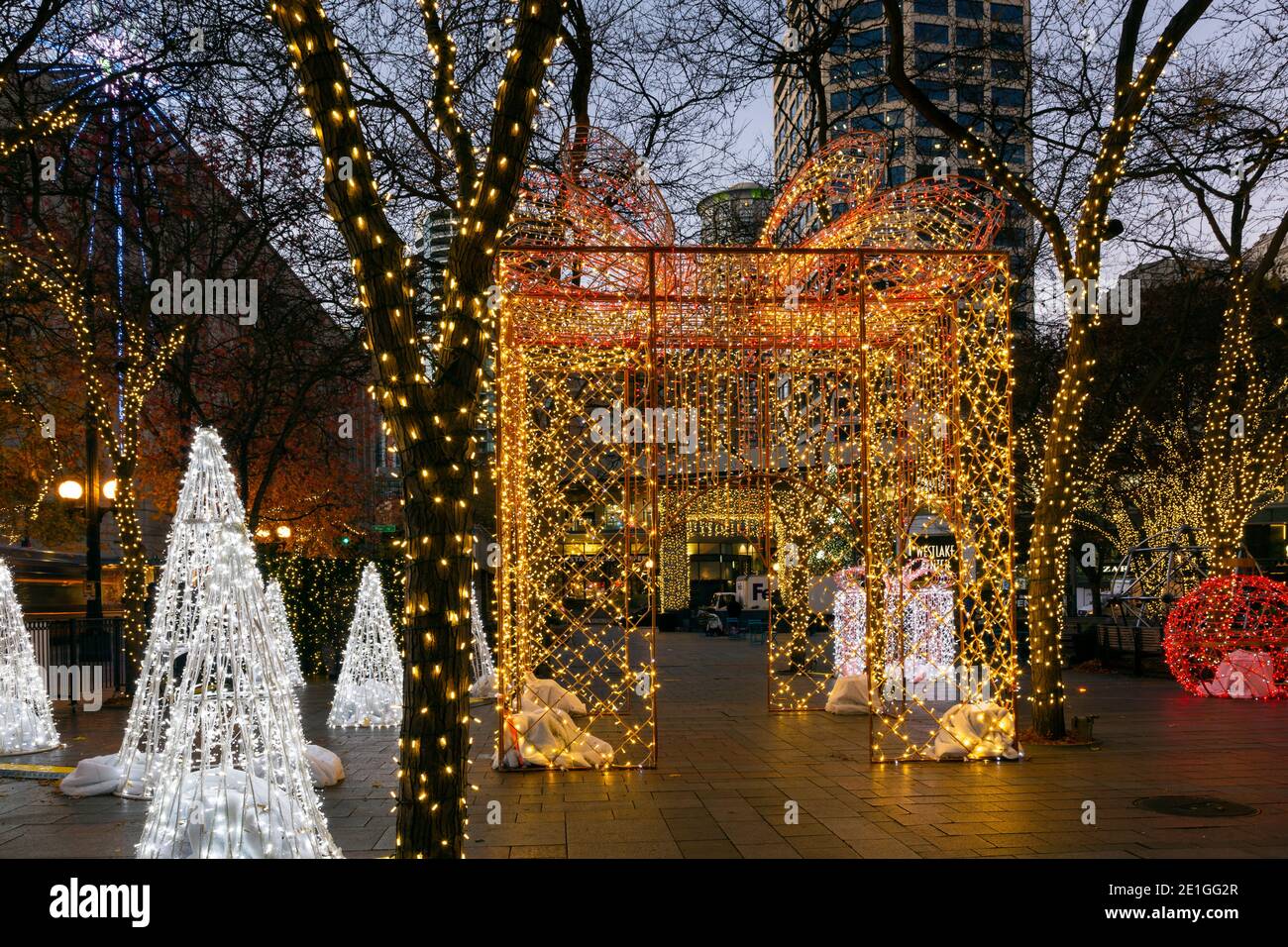 WA19020-00...WASHINGTON - Winter lights display a Westlake Park in ...