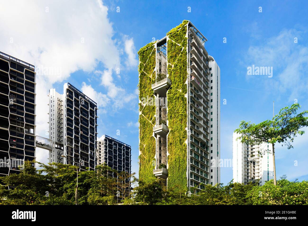 Exterior view of the Tree House Condominium, Singapore, with one of the ...