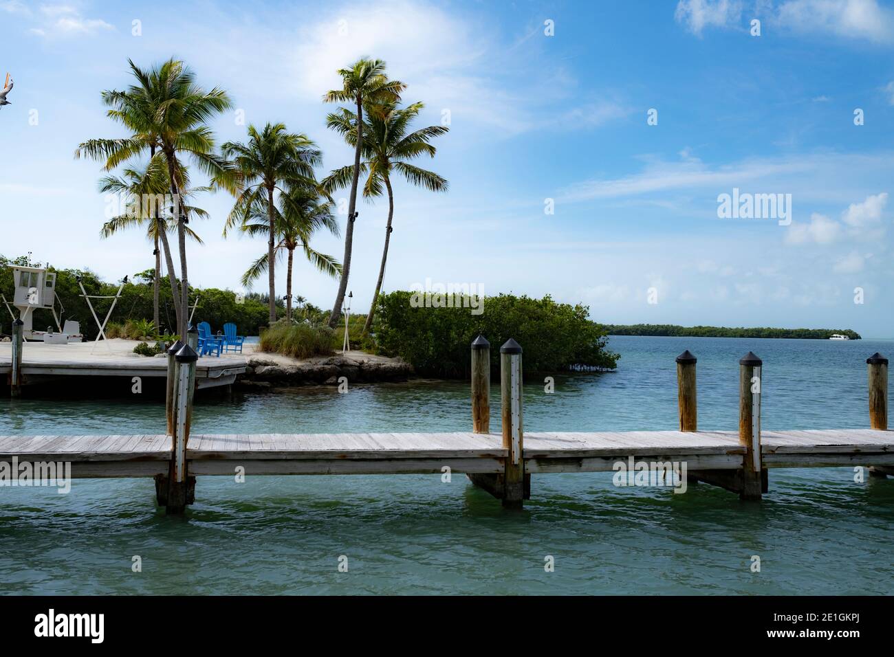 Dock. Islamorada, Florida surrounded by palm trees Stock Photo - Alamy