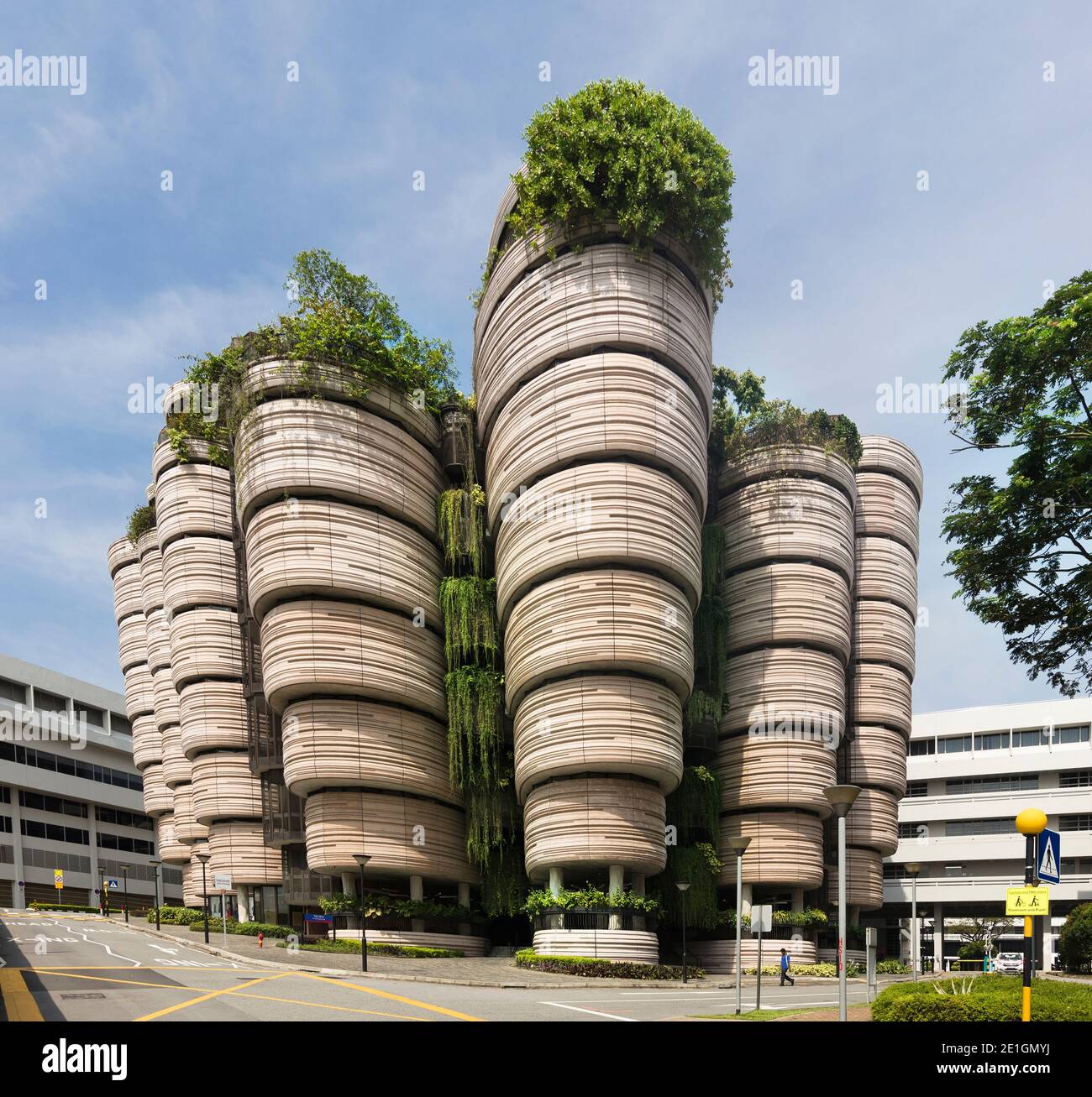 University nanyang singapore hi-res stock photography and images - Alamy