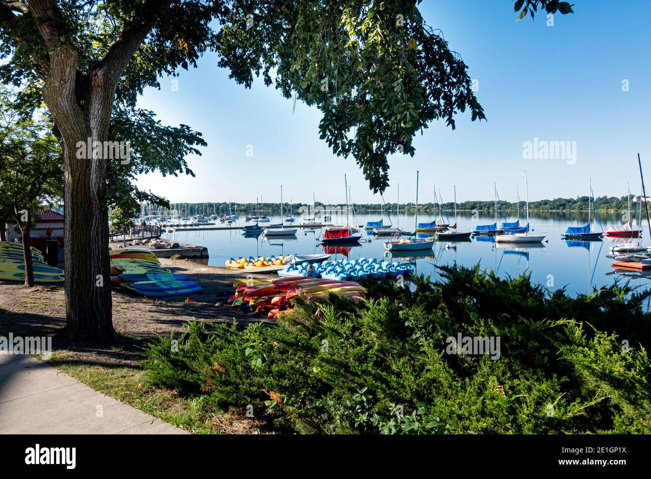 Rental sail boards, canoes, paddle boats and sailboats buoys for ...
