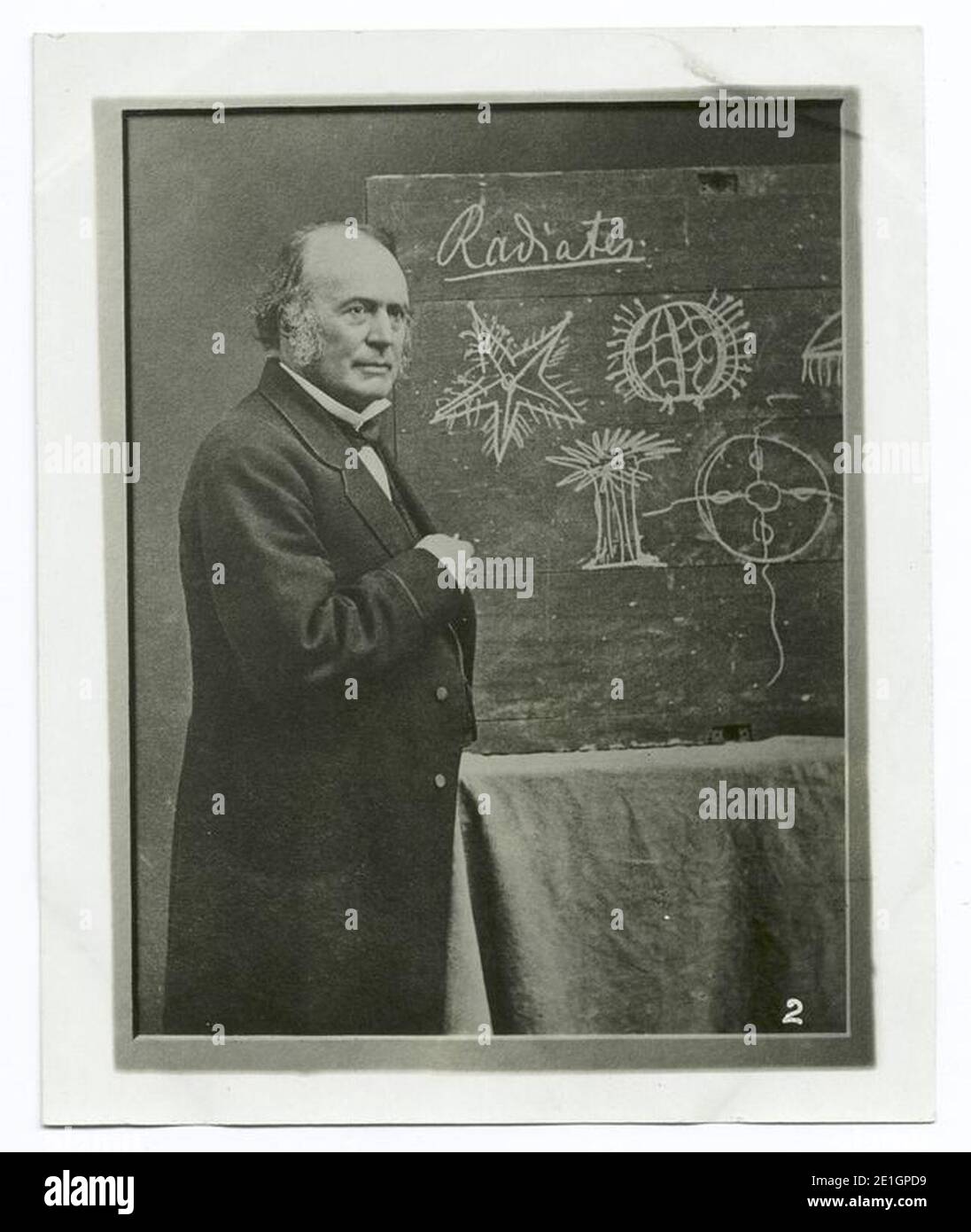 Agassiz tree hi-res stock photography and images - Alamy