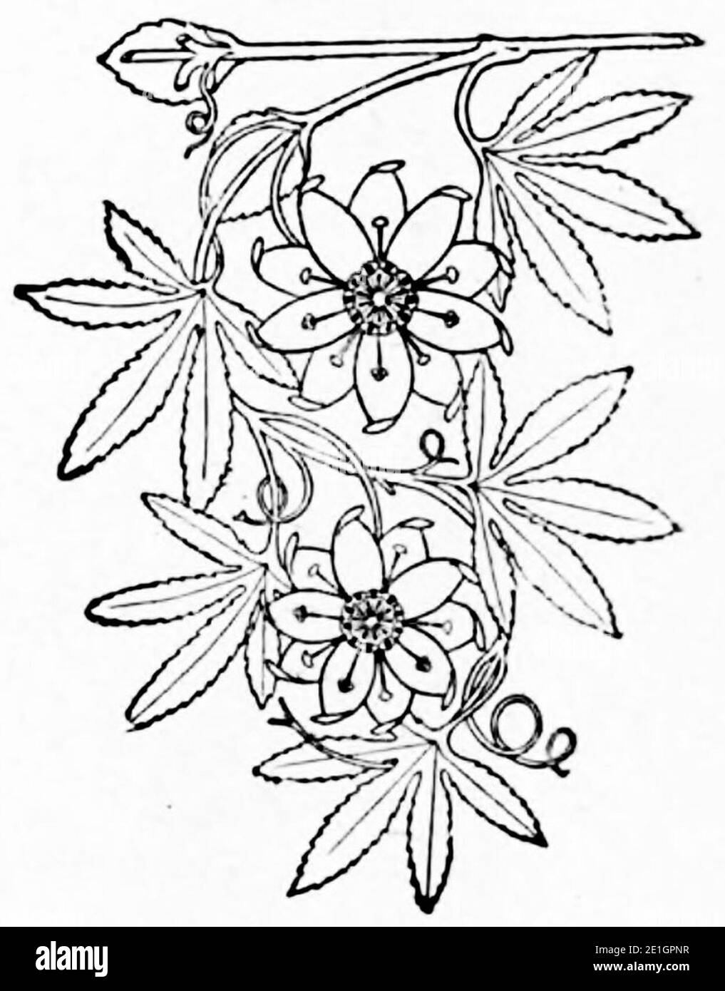 Monde louis Cut Out Stock Images & Pictures - Alamy