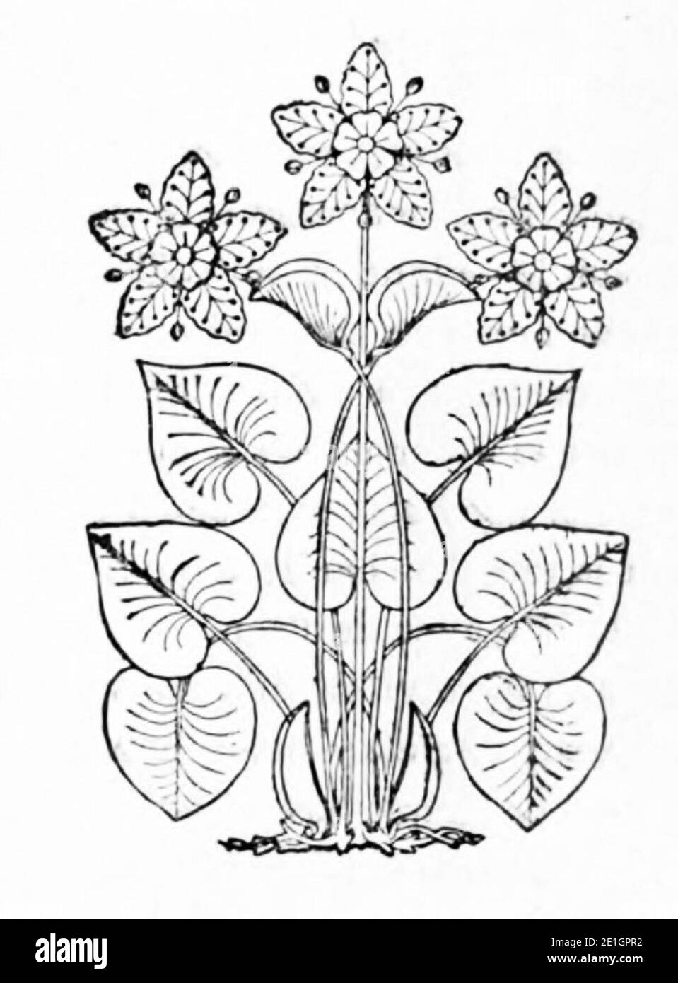 Monde louis Cut Out Stock Images & Pictures - Alamy