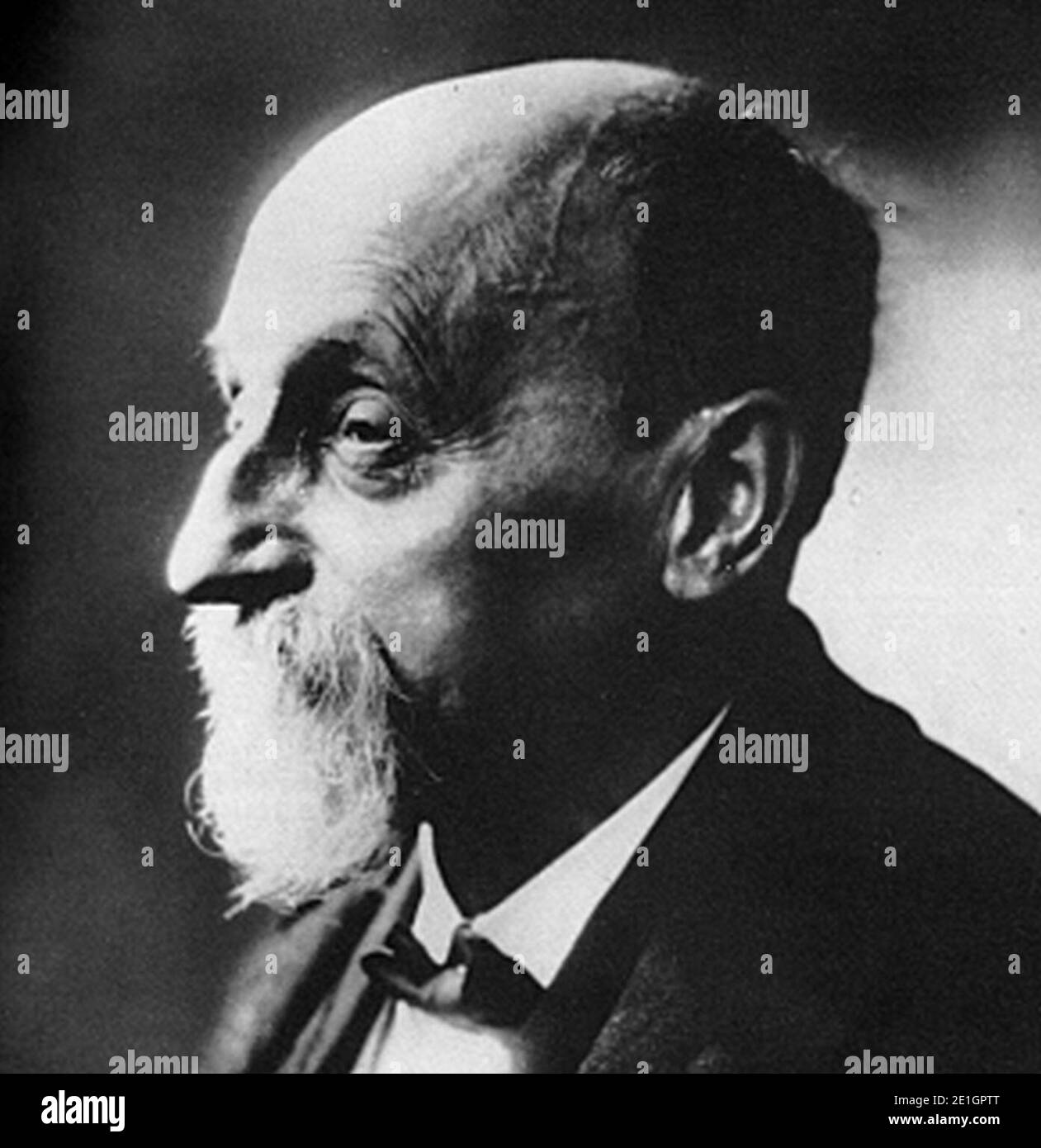 Louis Arthur Ducos du Hauron Stock Photo - Alamy