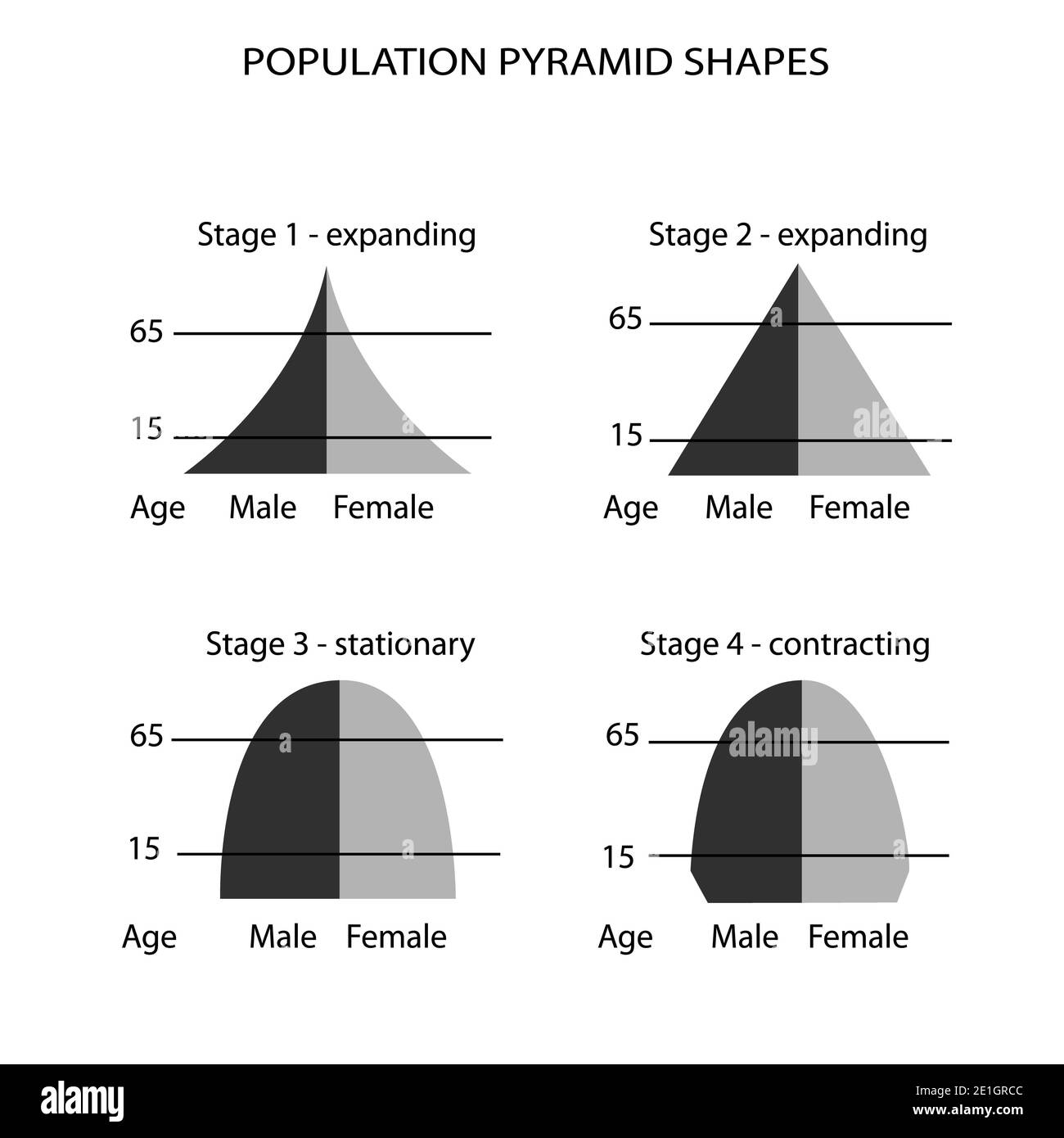 Infographic triangular pyramid hi-res stock photography and images - Alamy