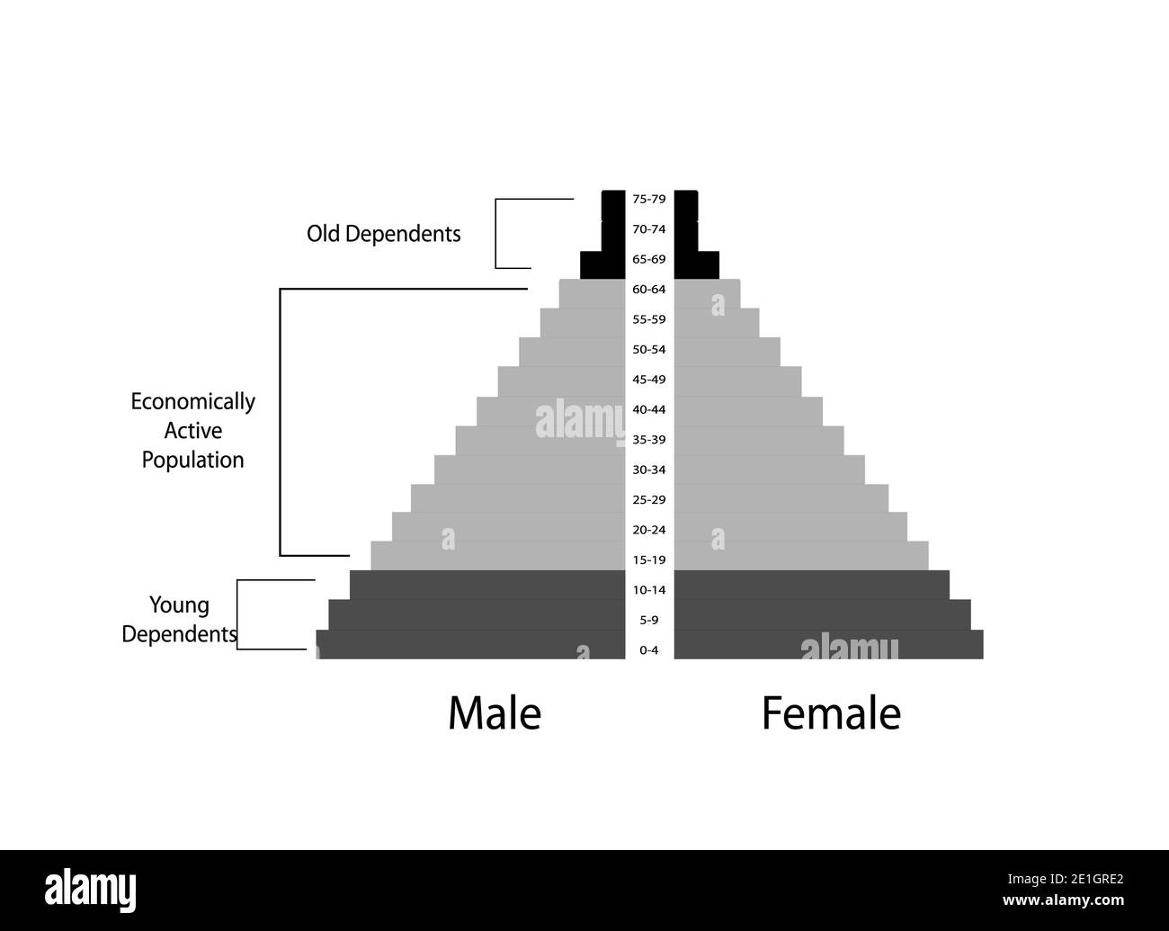 Population and Demography, Illustration of Detail of Population ...
