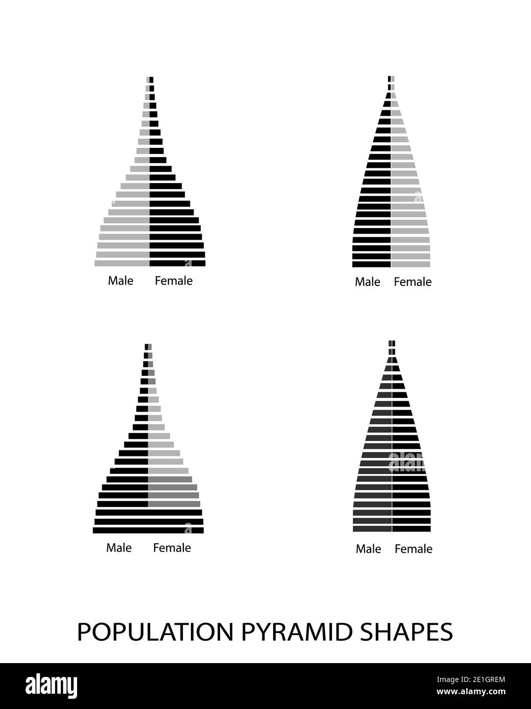 Population And Demography Illustration Of 4 Types Of Population Pyramids Chart Or Age Structure