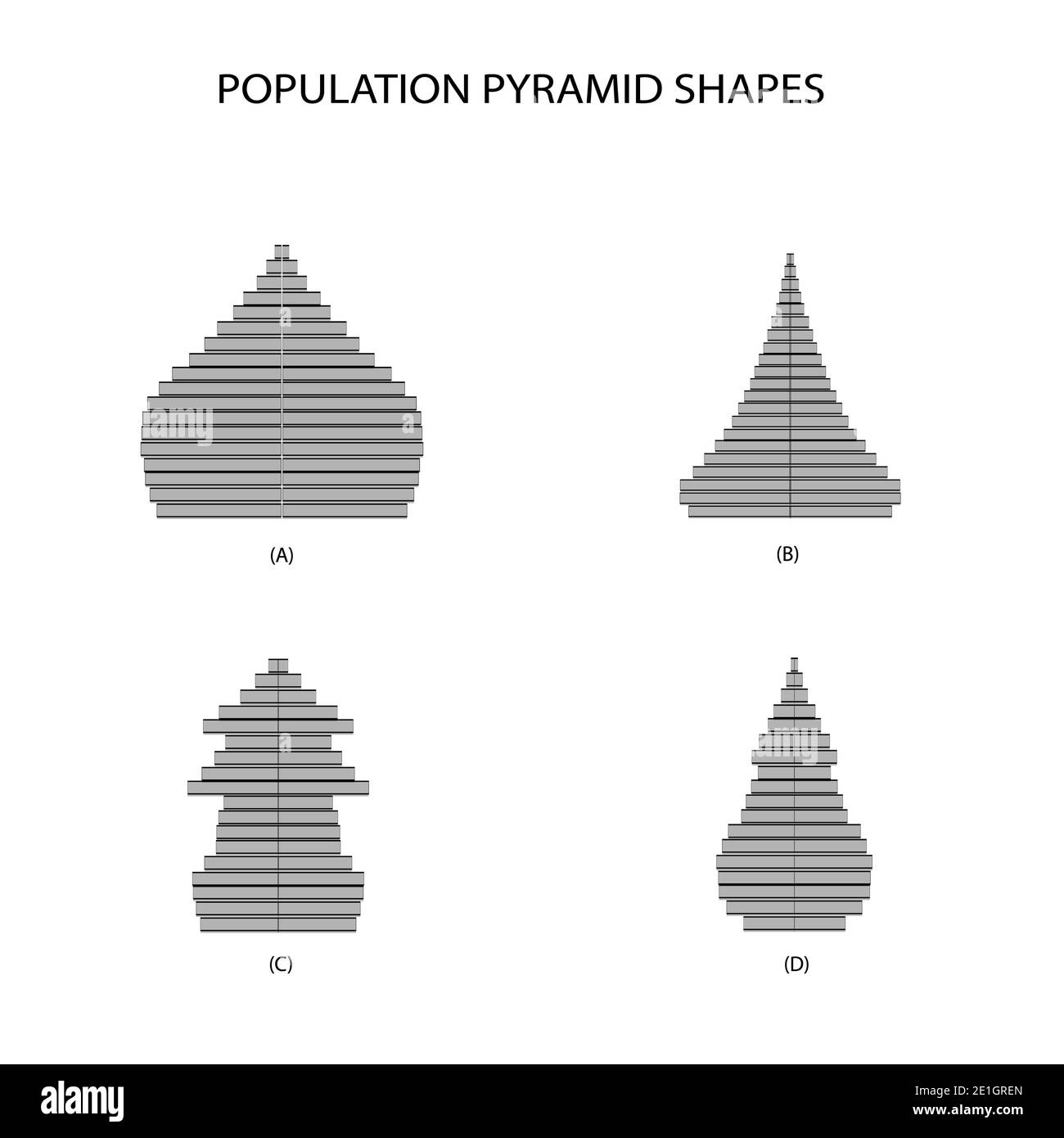 Population And Demography Illustration Of 4 Types Of Population