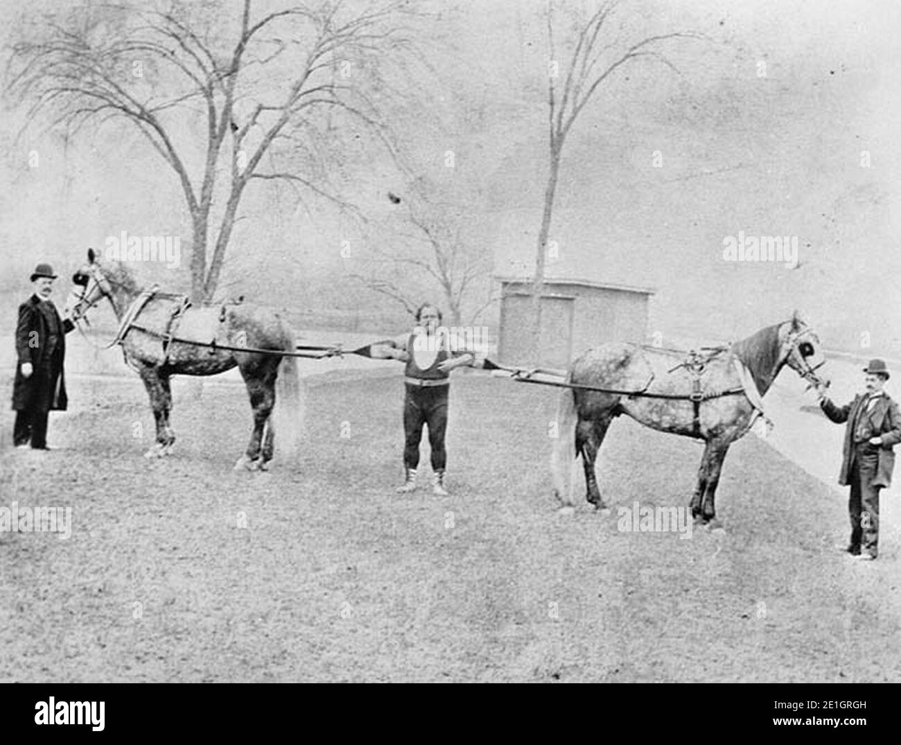 Louis cyr hi-res stock photography and images - Alamy