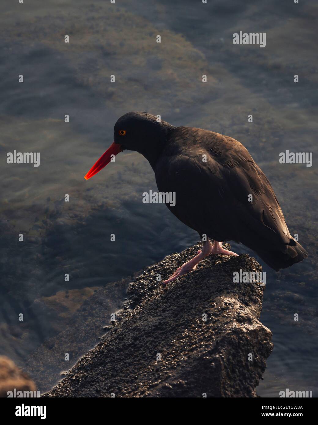 Recreational fishing area hi-res stock photography and images - Alamy