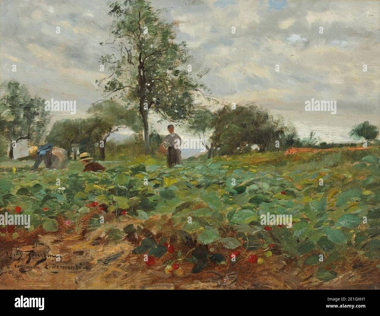 Louis Tauzin - La récolte dans les champs à Verrière le Buisson Stock ...