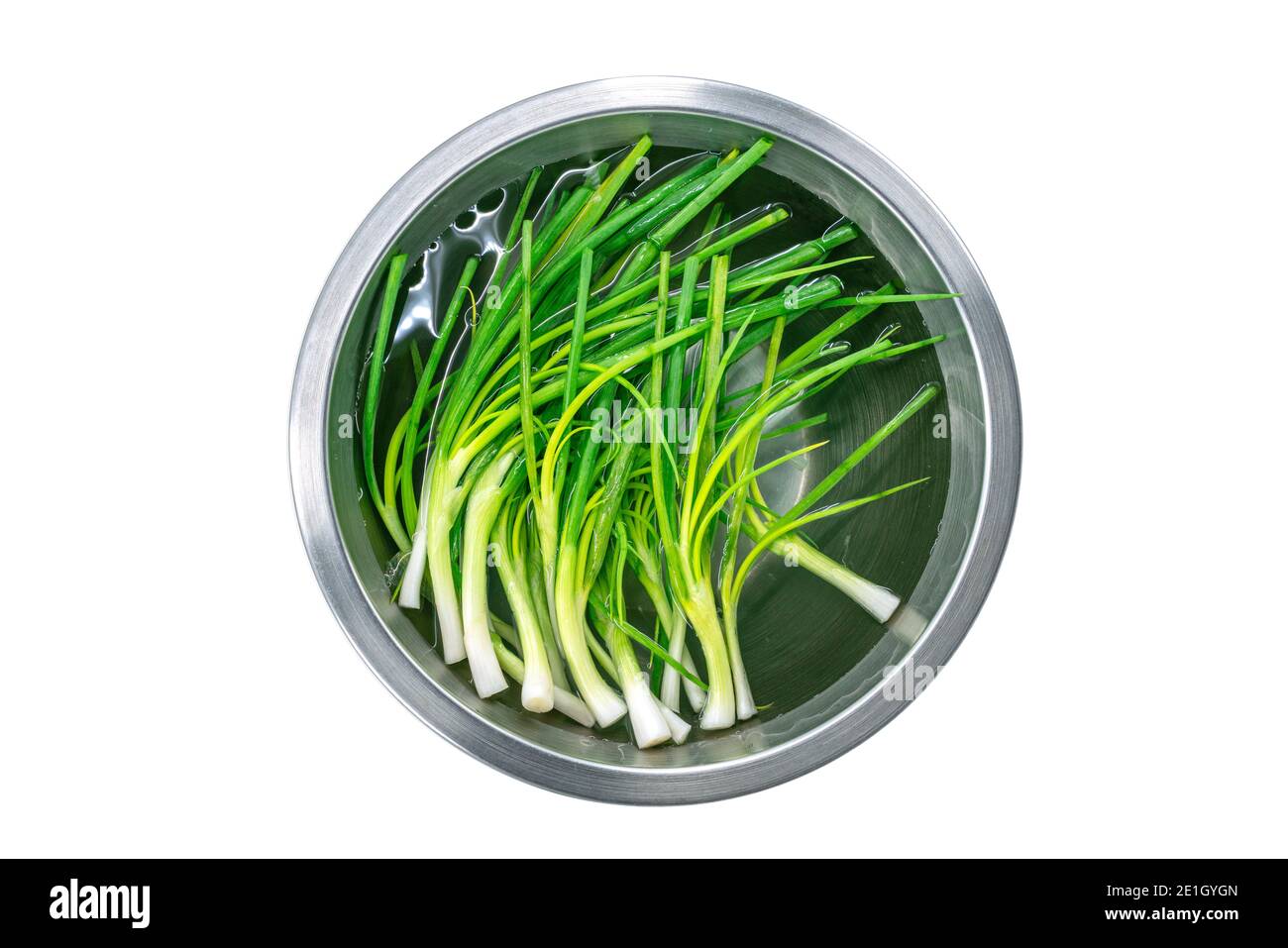 Isolated Spring onions or scallions soaked in water in a stainless ...