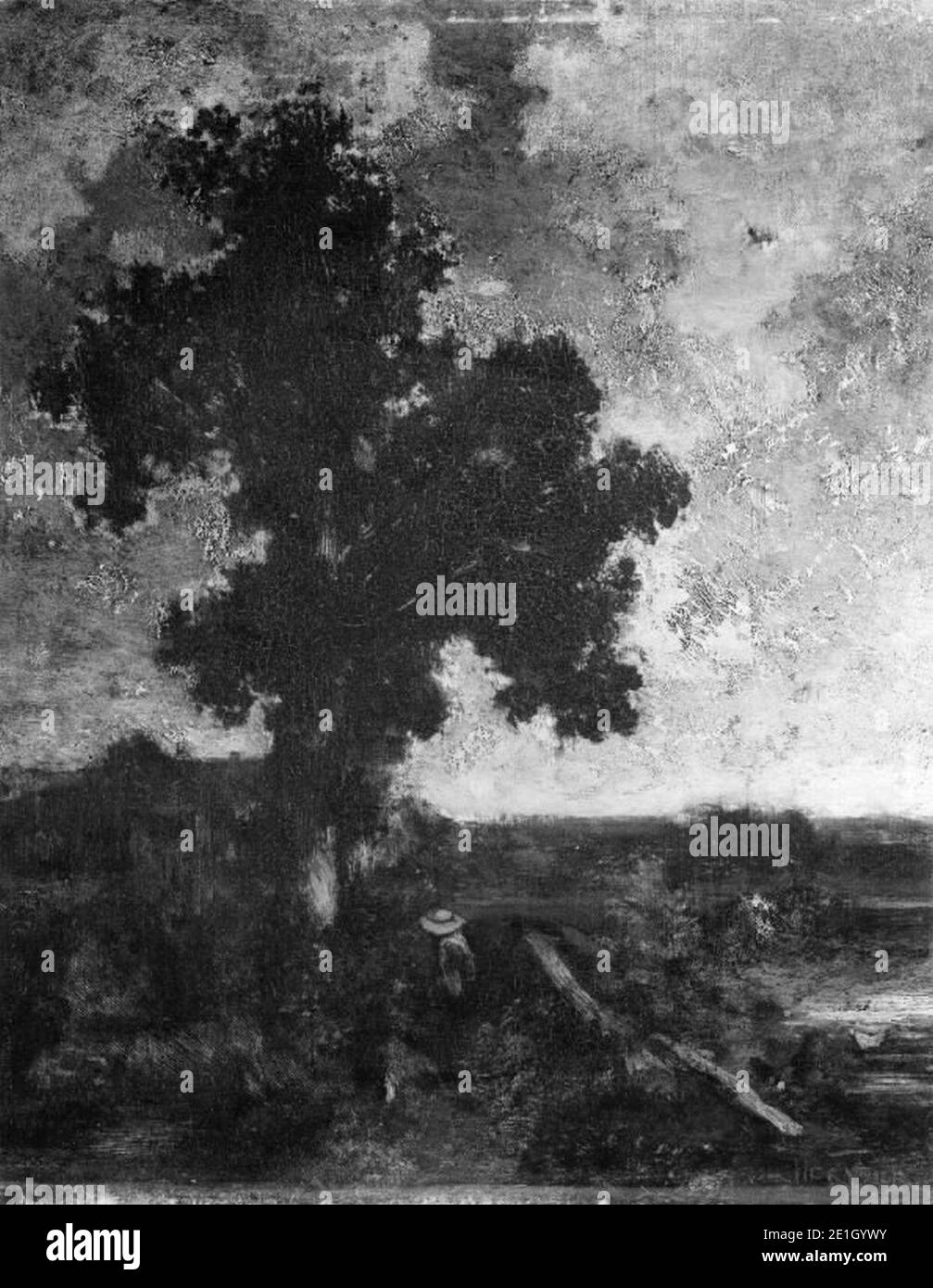 Louis-Adolphe Hervier - Big Tree Stock Photo - Alamy