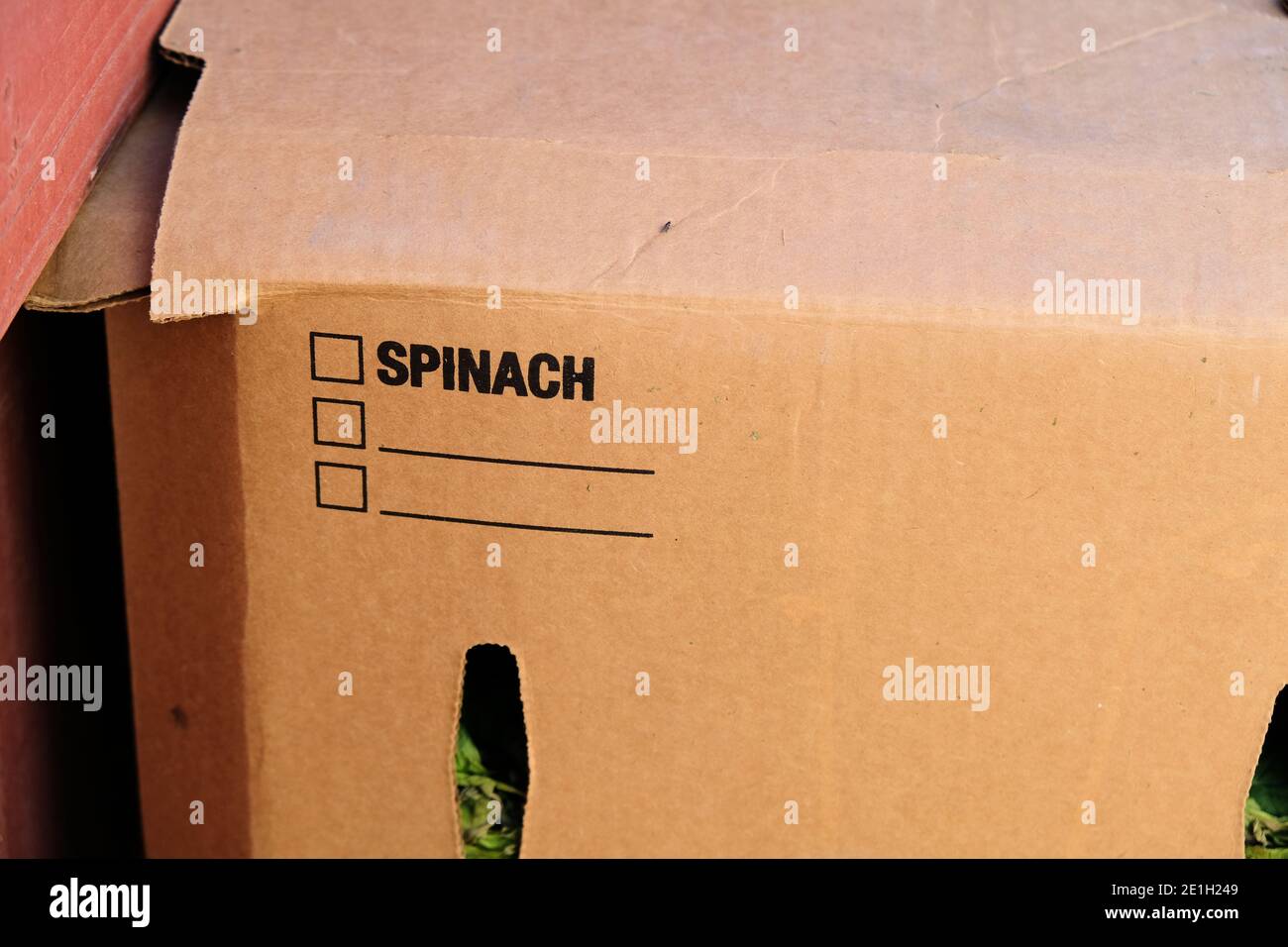 Cardboard box labeled Spinach for distribution to wholesale grocers and ...