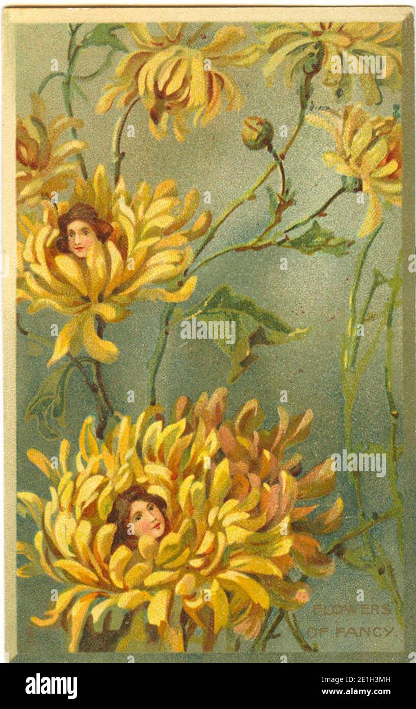 Postcard By Raphael Tuck And Sons High Resolution Stock Photography and ...