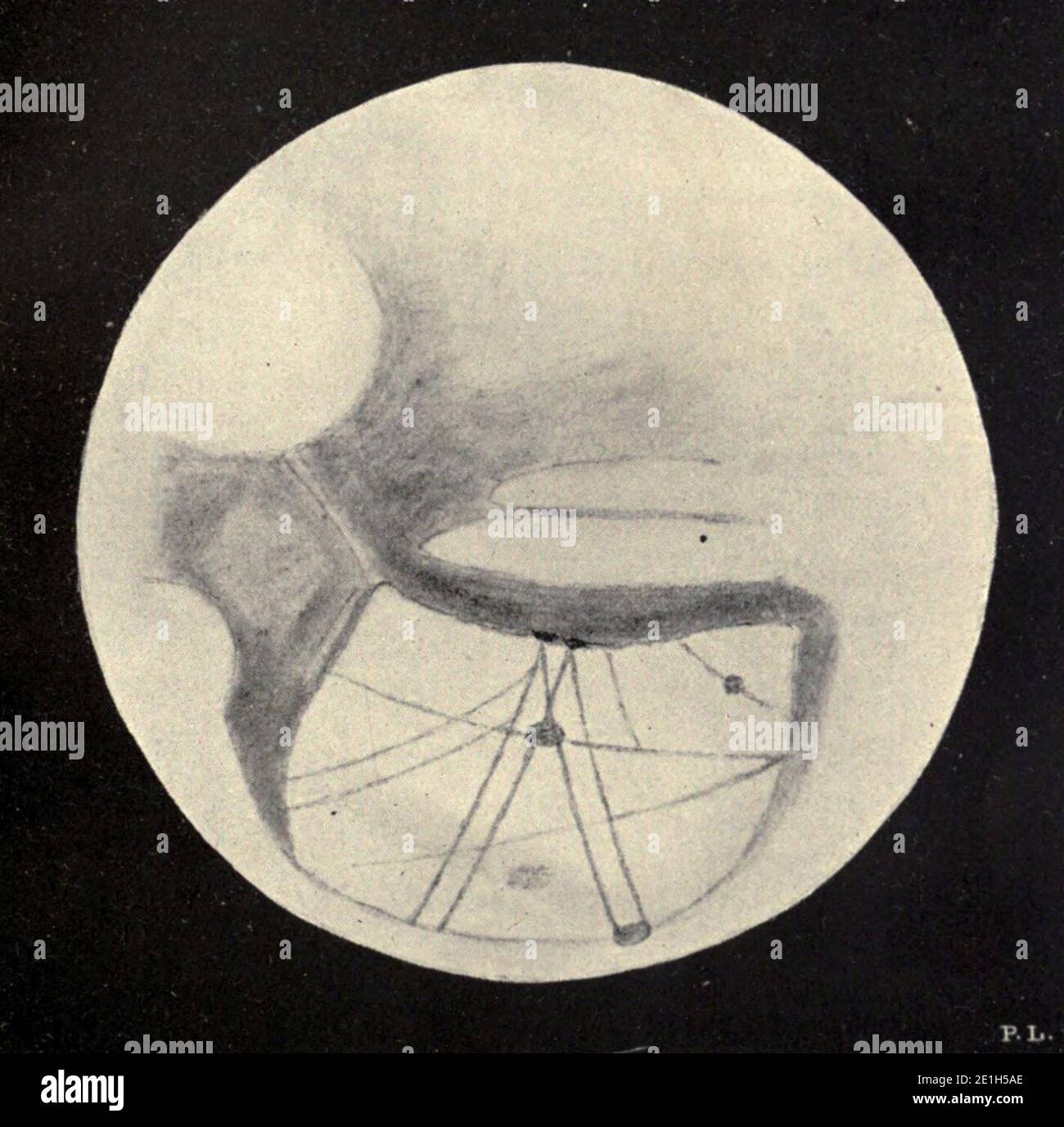 Lowell - Mars (1896) - Plate 23 Stock Photo - Alamy