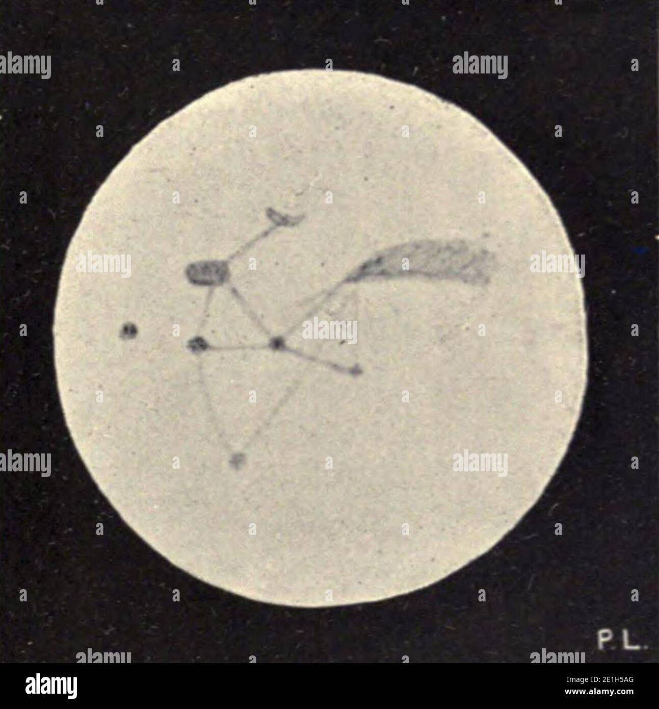 Lowell - Mars (1896) - Plate 26 Figure 2 Stock Photo - Alamy