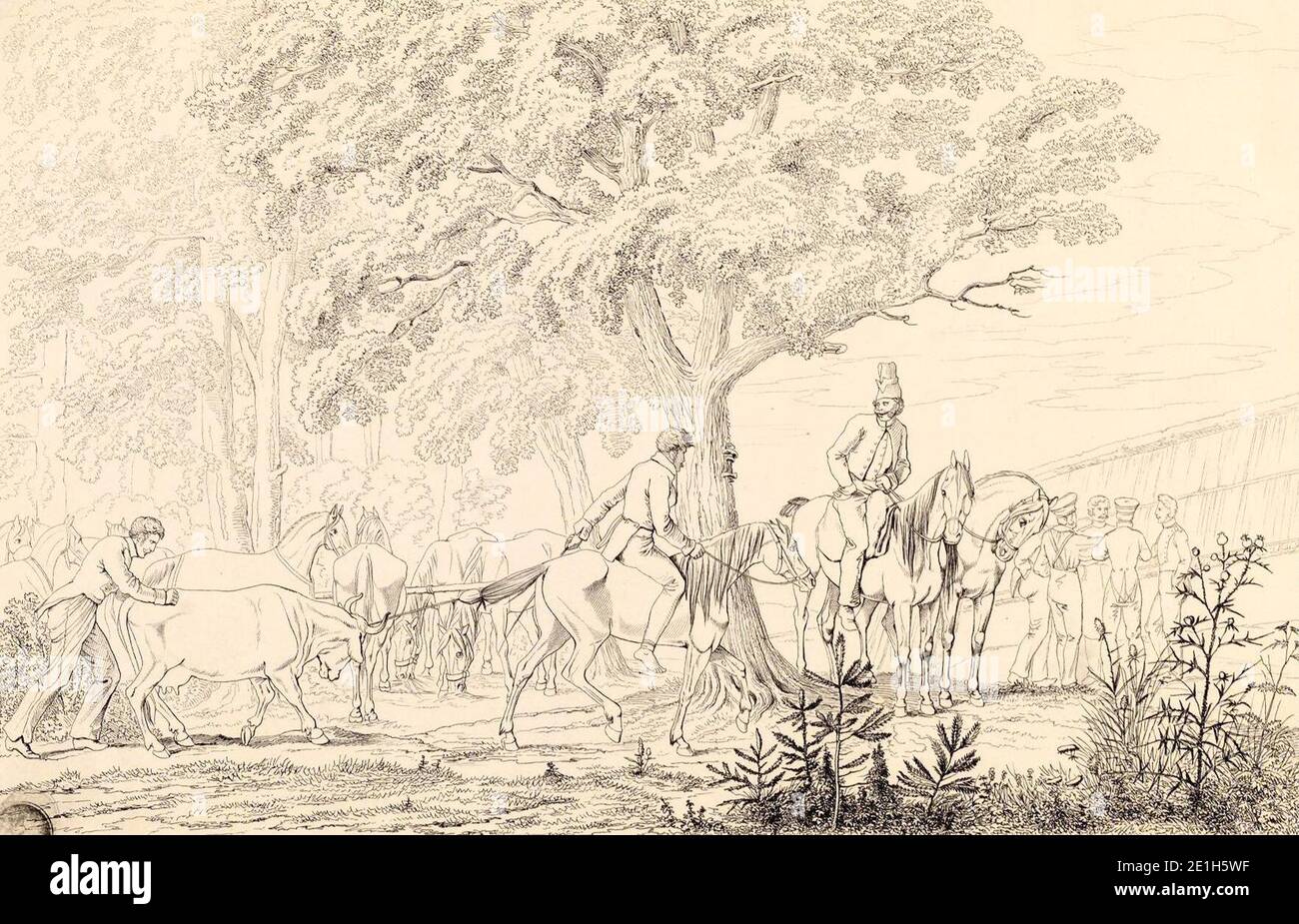 Lozna. Лёзна (C. Faber du Faur, 9.08.1812) (5 Stock Photo - Alamy