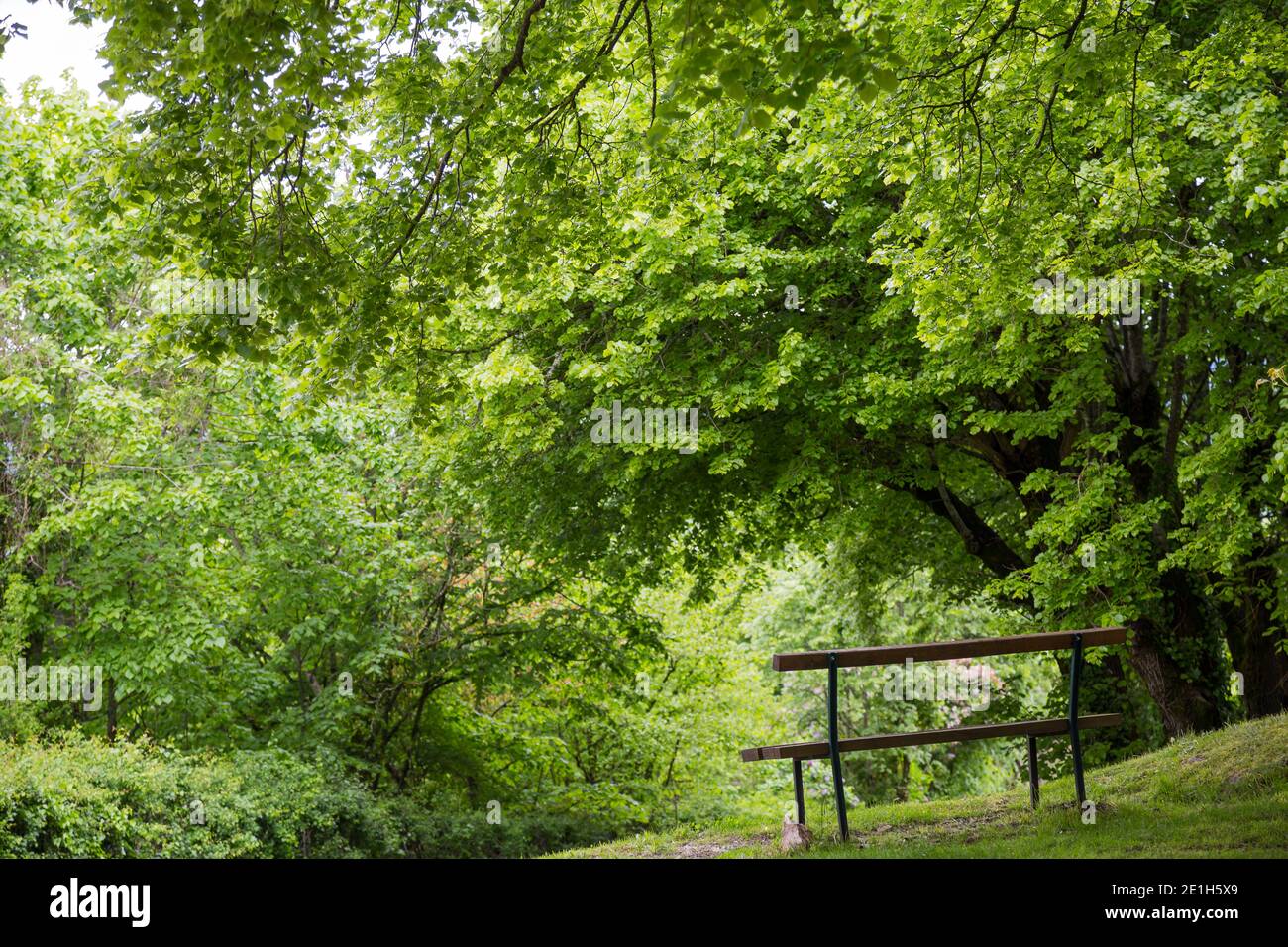 Park bench under a tree in a small village in rural France Stock Photo ...