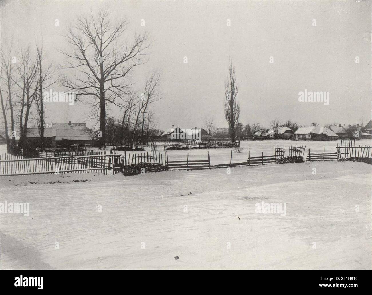 Luban tree hi-res stock photography and images - Alamy