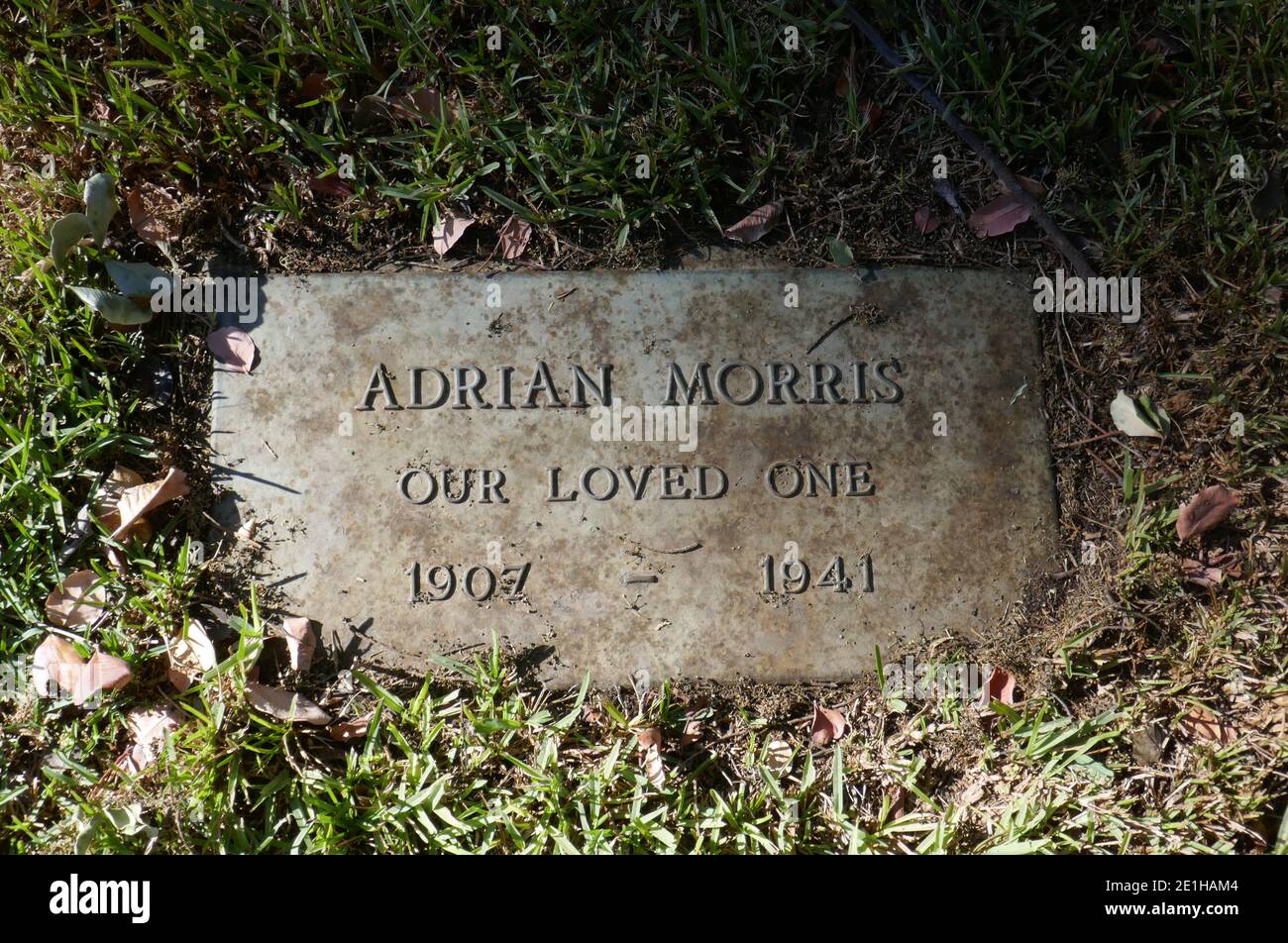 Los Angeles, California, USA 30th December 2020 A general view of ...