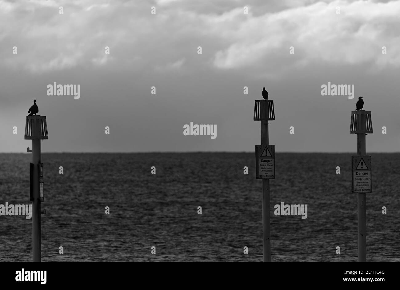 Wing in water Black and White Stock Photos & Images - Alamy