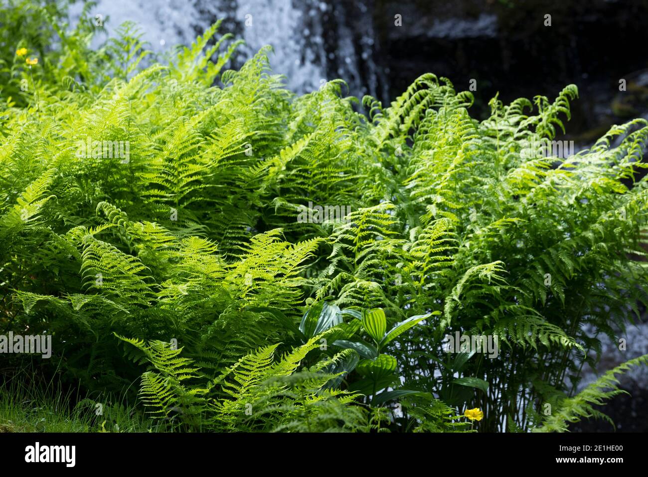 Osterreich alpen hi-res stock photography and images - Alamy