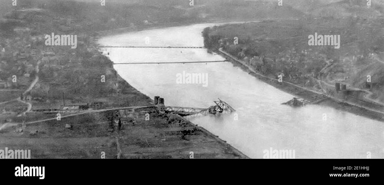 Collapse tree Black and White Stock Photos & Images - Alamy