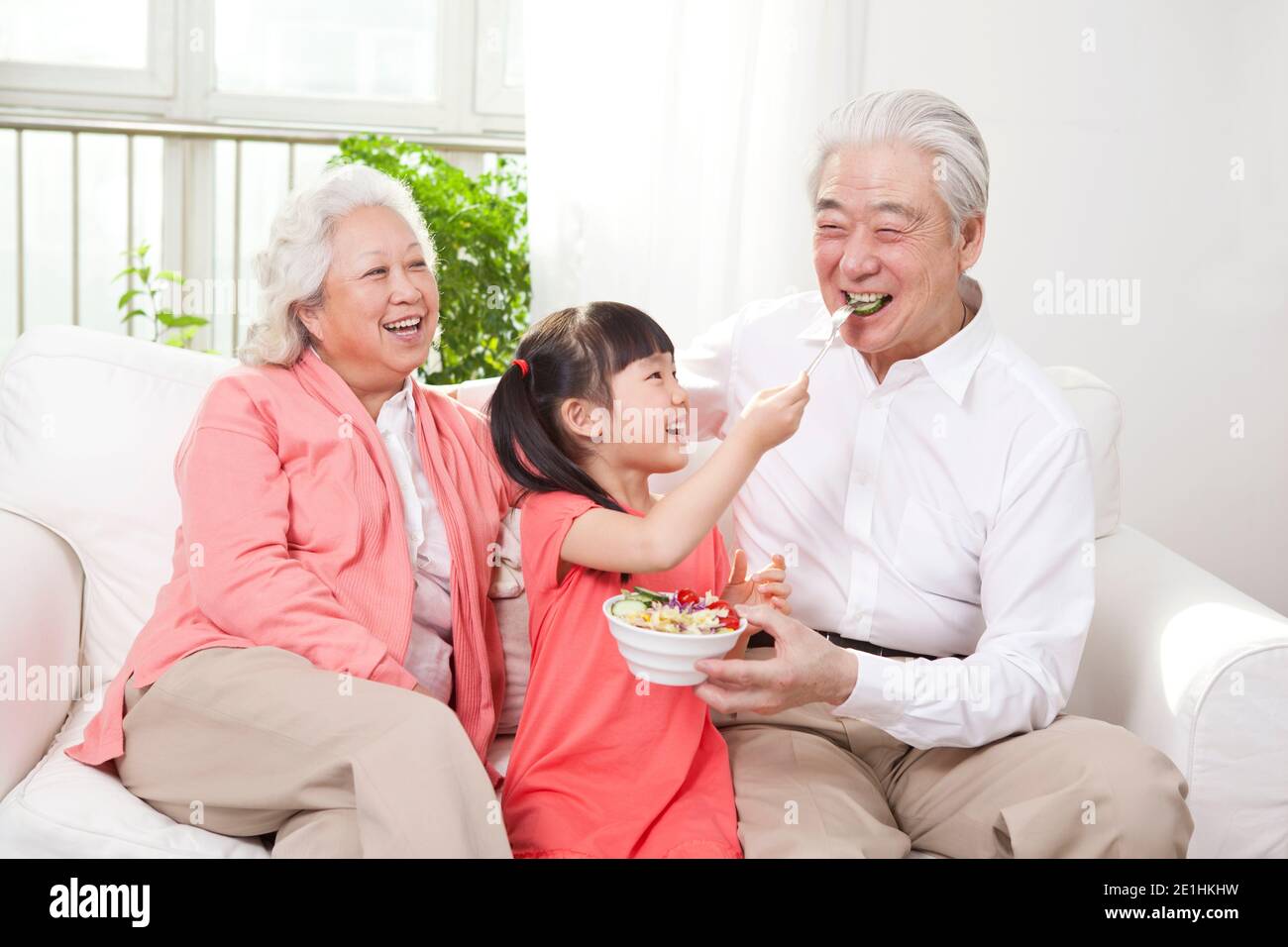 Happy grandparents and grandchildren are playing in the living room ...