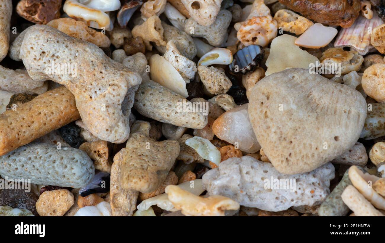 Colorful coral, pebbles, and rocks in the beach closeup Stock Photo - Alamy