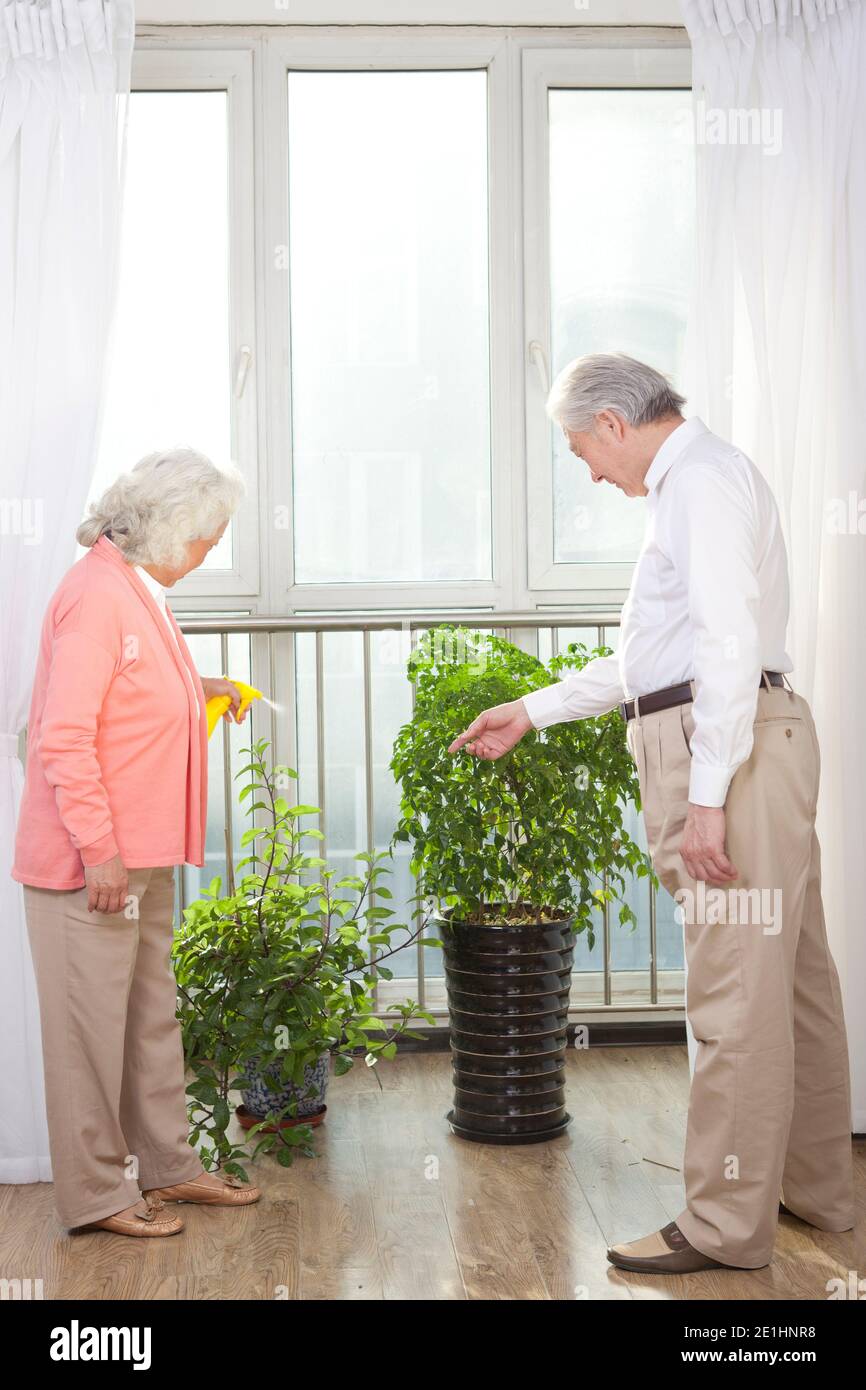 An old couple are watering the plants high quality photo Stock Photo ...