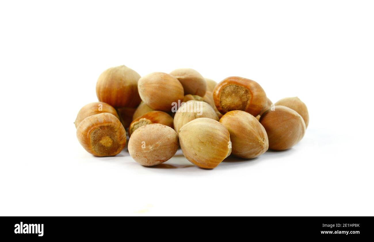 Heap of hazelnuts isolated on white background Stock Photo - Alamy