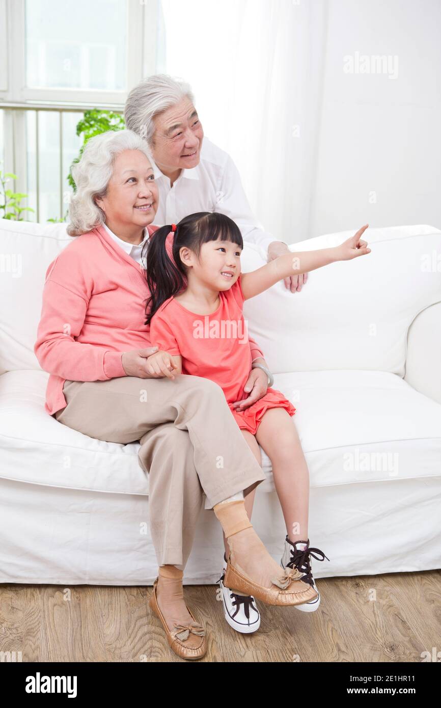 Happy grandparents and grandchildren are playing in the living room ...