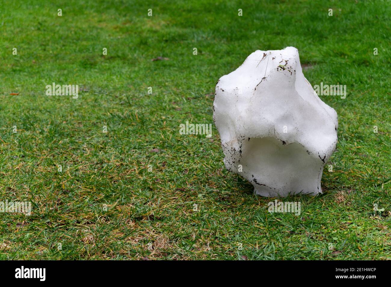 Patch of Snow with Grass Stock Photo - Alamy